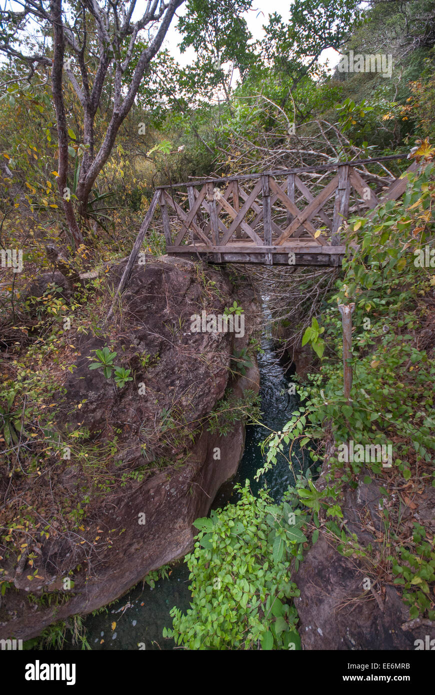 Bridge over water in Costa Rica Stock Photo - Alamy
