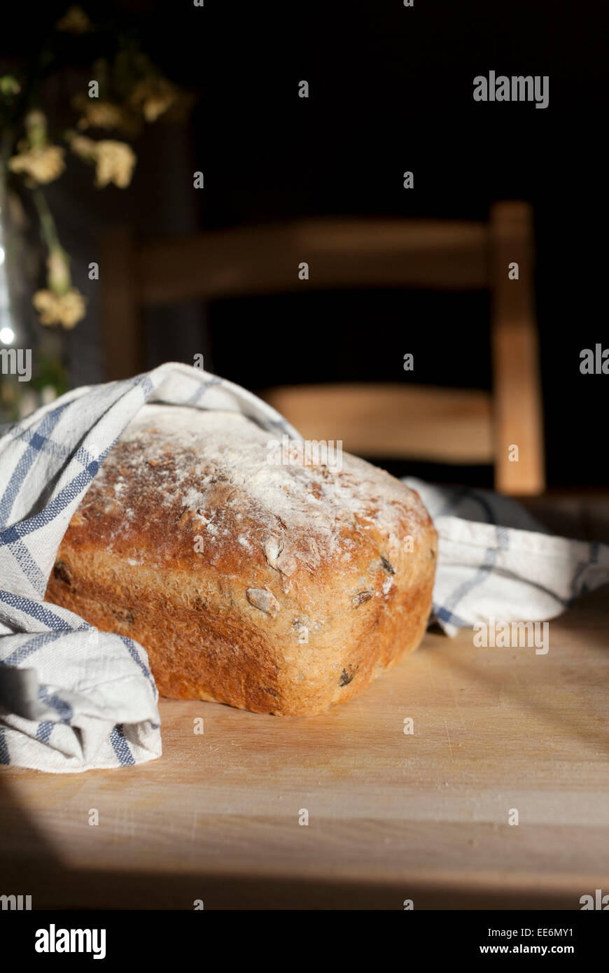 A loaf a freshly cooked artisan sourdough bread bathed in sunlight ...