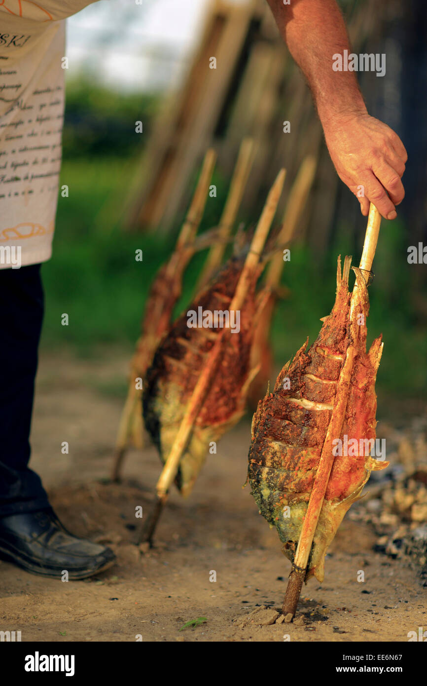 Barbecued fish, Baranja, Croatia Stock Photo - Alamy