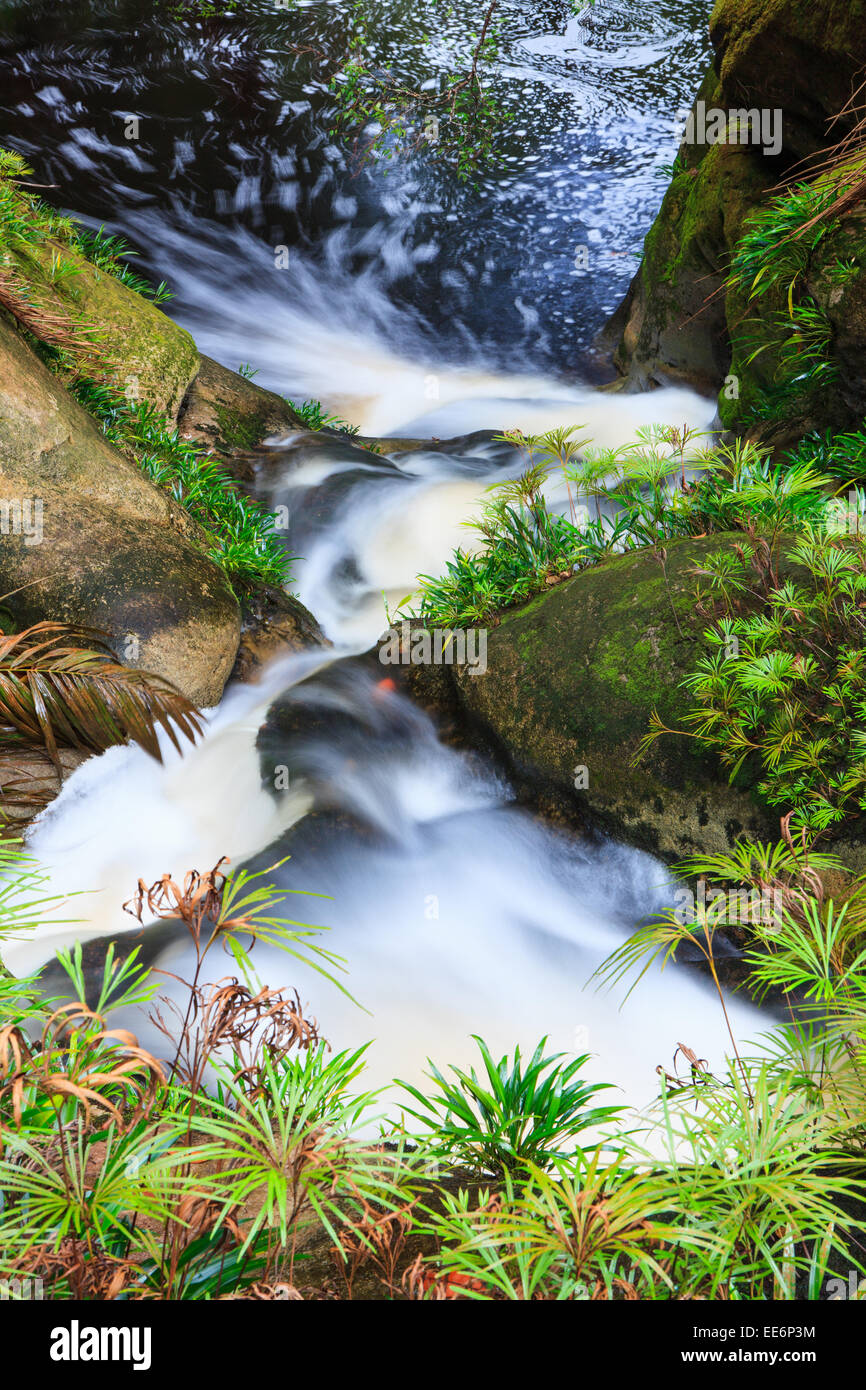 Small waterfall in jungle Stock Photo - Alamy