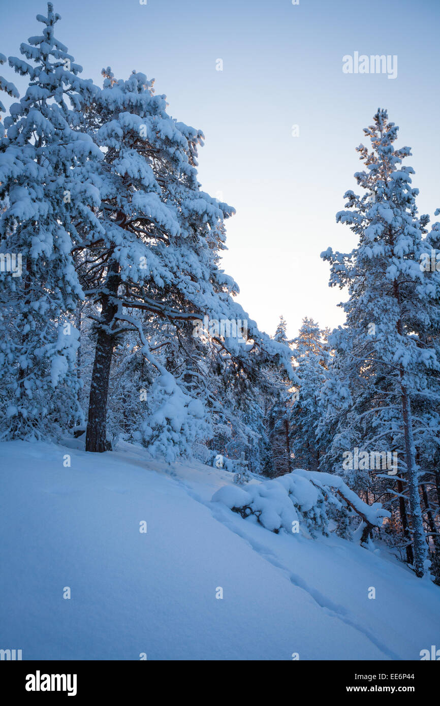 Twilight winter hi-res stock photography and images - Alamy