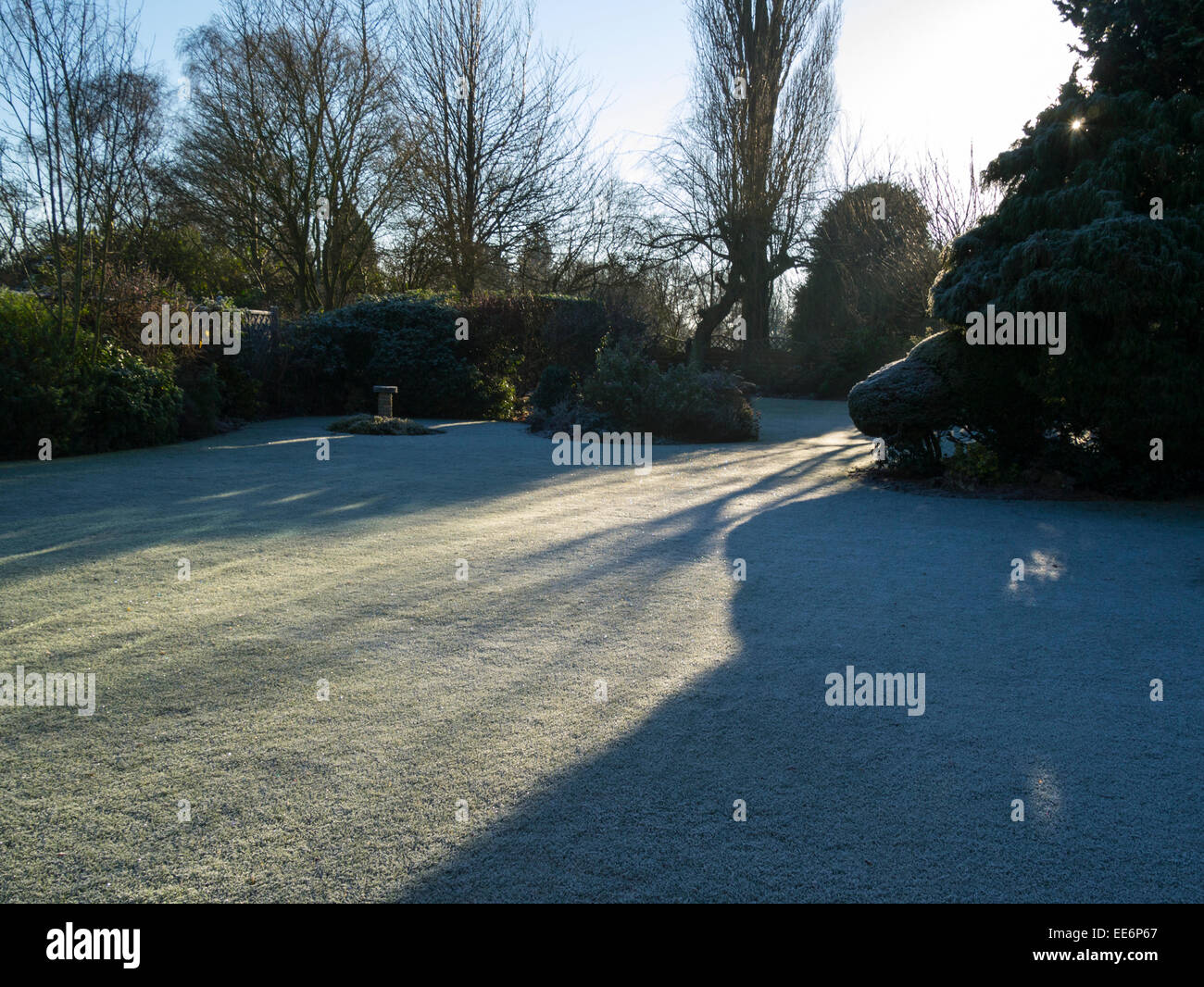 Winter scene with frost covered lawn in English suburban garden Stock ...