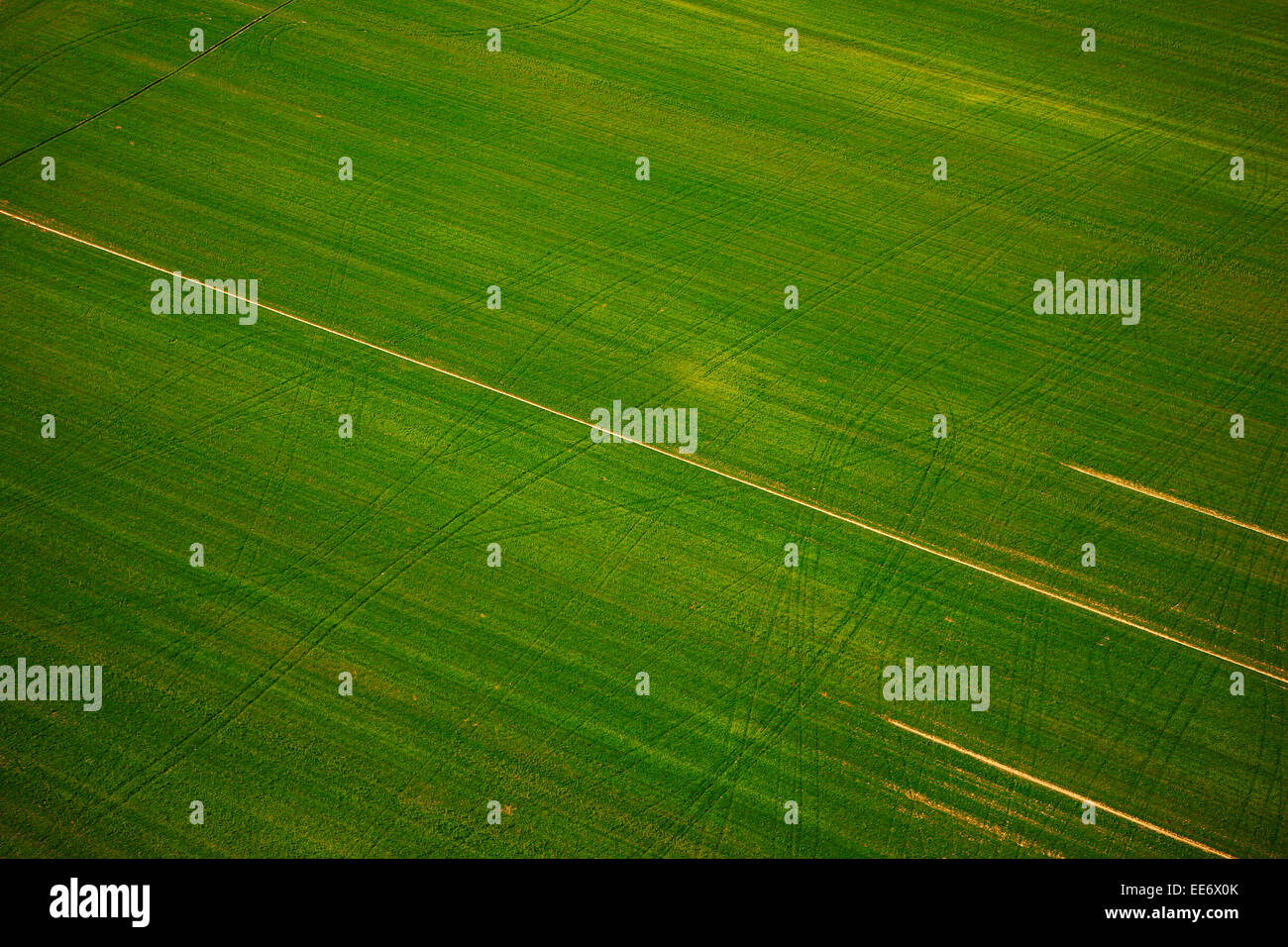 Aerial view of green field, Croatia Stock Photo - Alamy