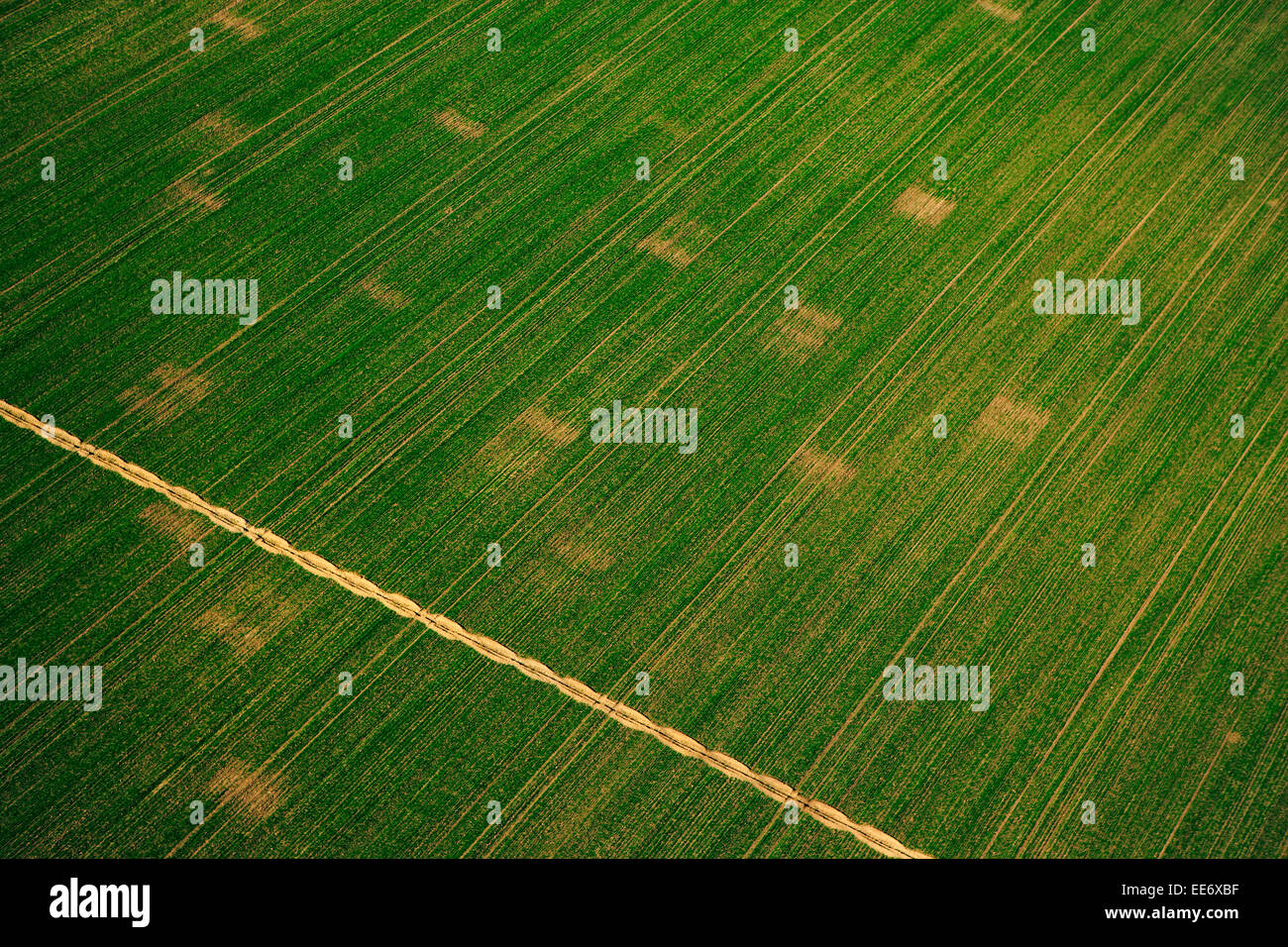 Aerial View, Field, Pattern, Growth, Agriculture Stock Photo - Alamy