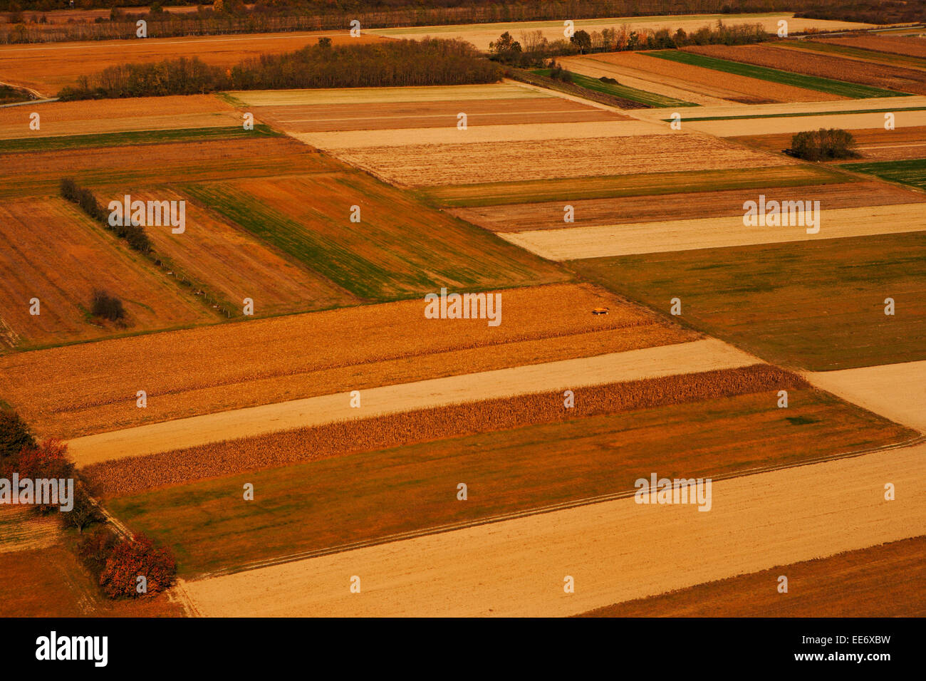 Aerial View, Field, Pattern, Growth, Agriculture Stock Photo - Alamy