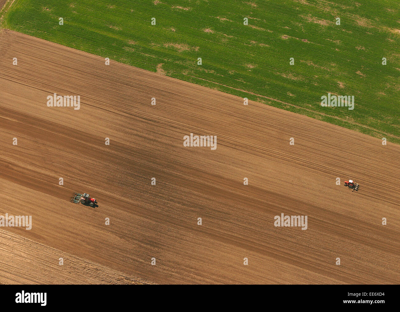 Aerial view of corn fields, Croatia Stock Photo - Alamy