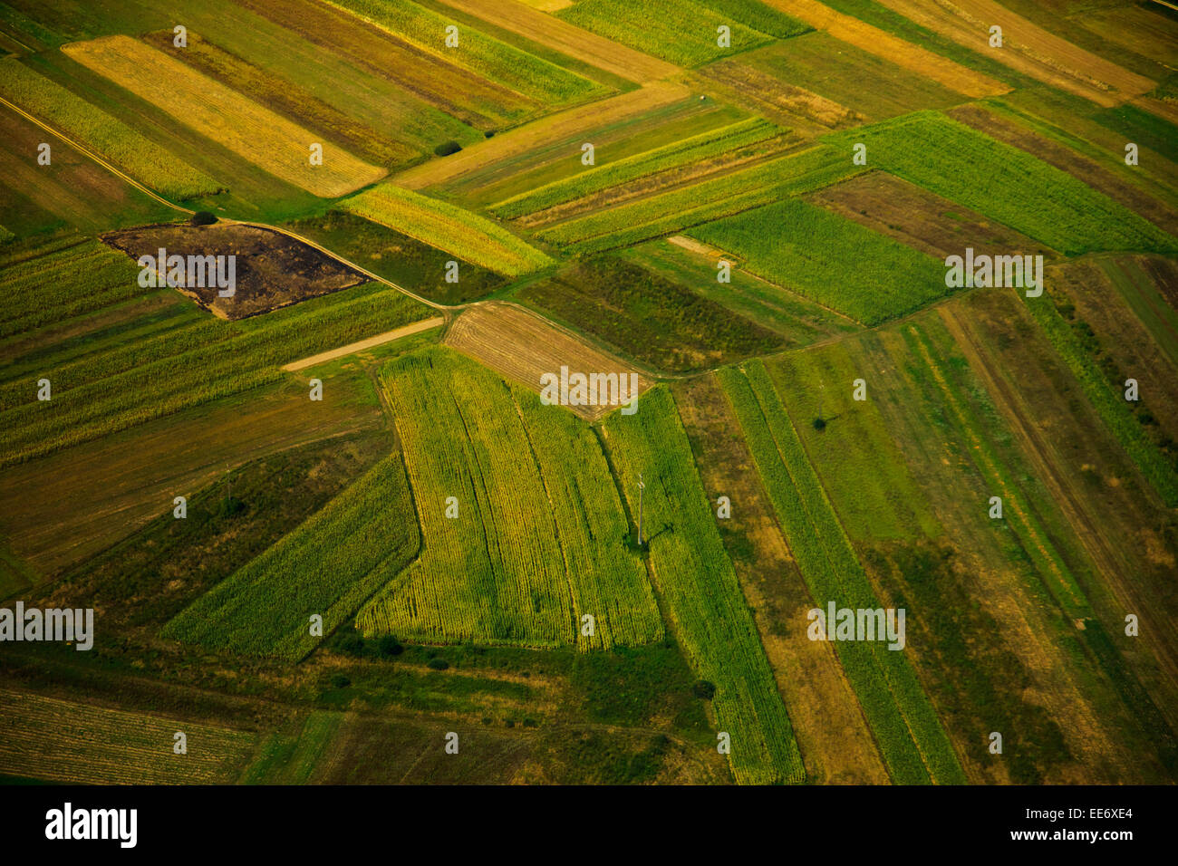 Field crop pattern hi-res stock photography and images - Alamy