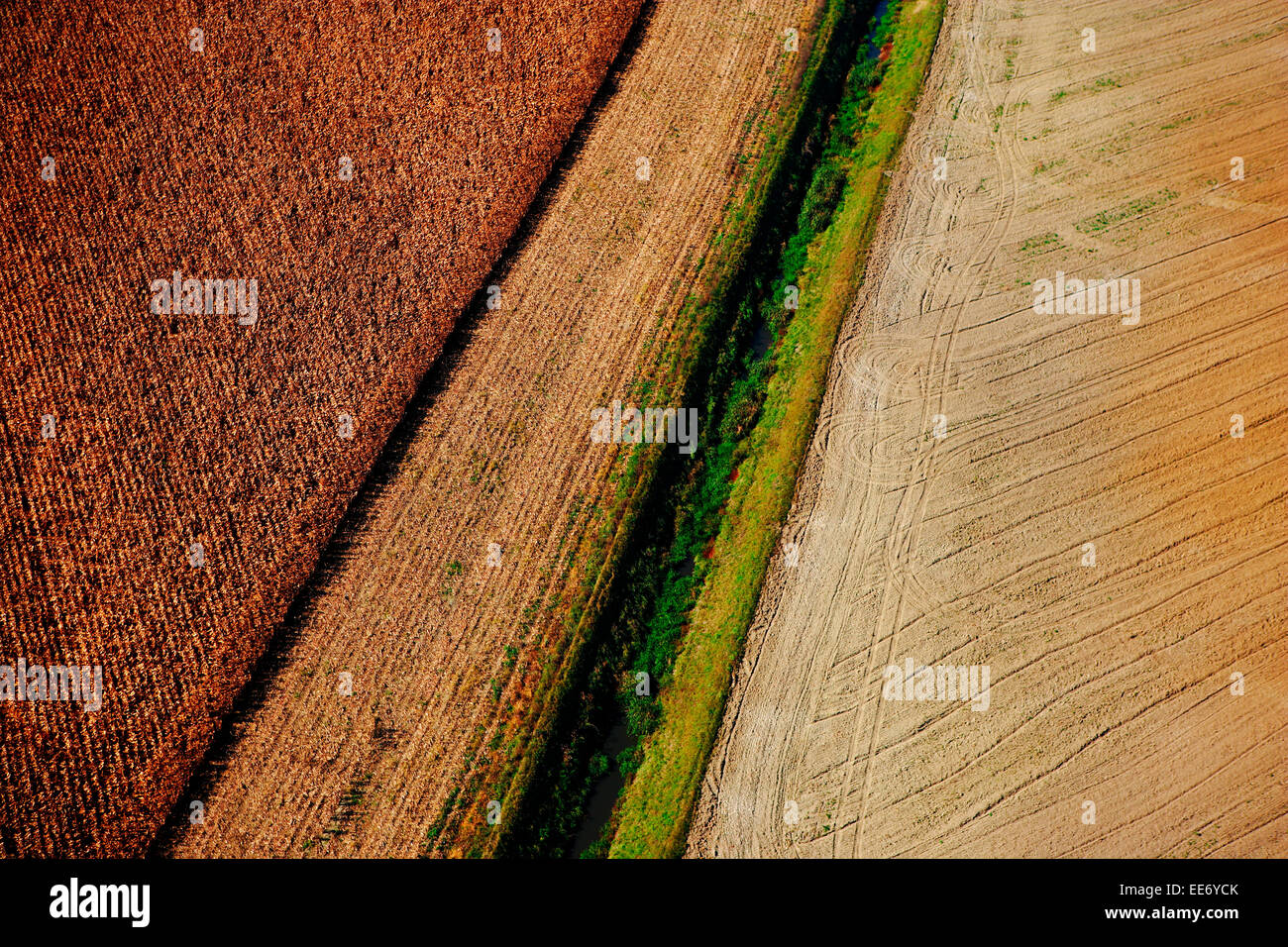 Aerial view of corn fields, Croatia Stock Photo - Alamy