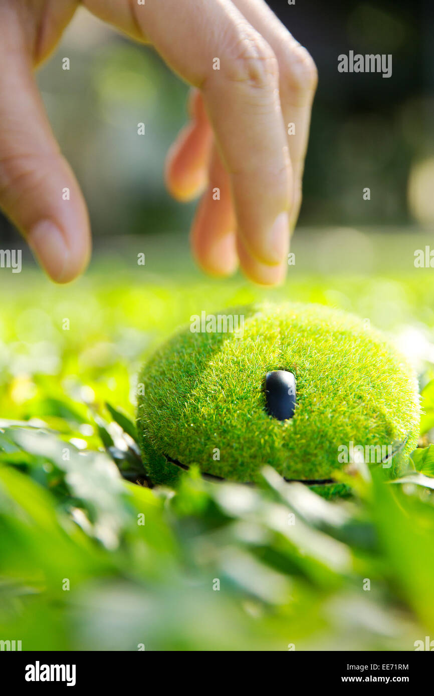 green computer mouse concept Stock Photo - Alamy