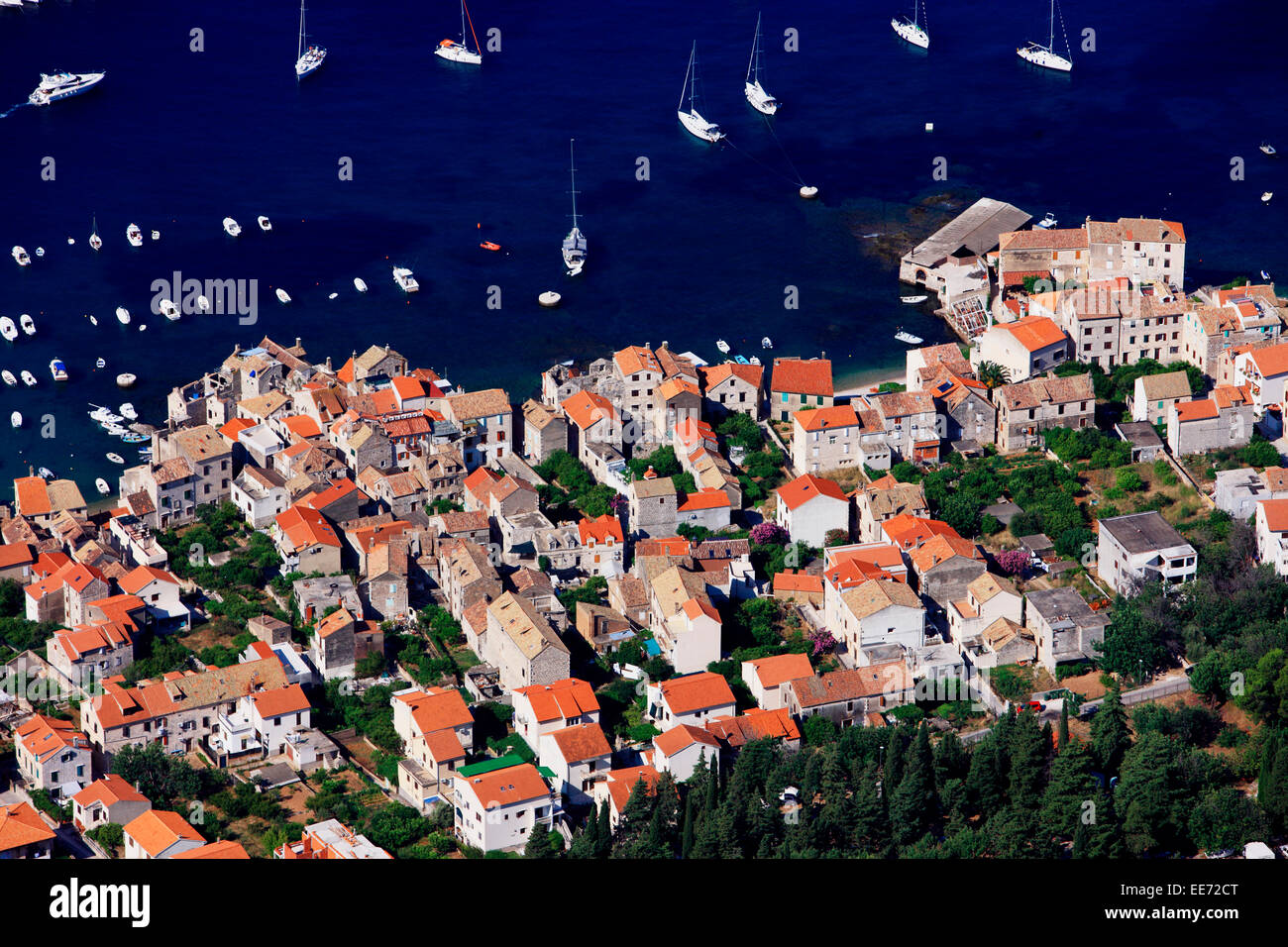 Vis marina hi-res stock photography and images - Alamy