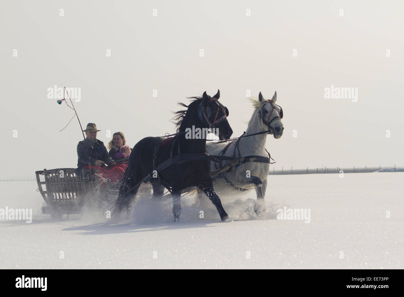 Horse drawn carriage in snow hi-res stock photography and images - Alamy
