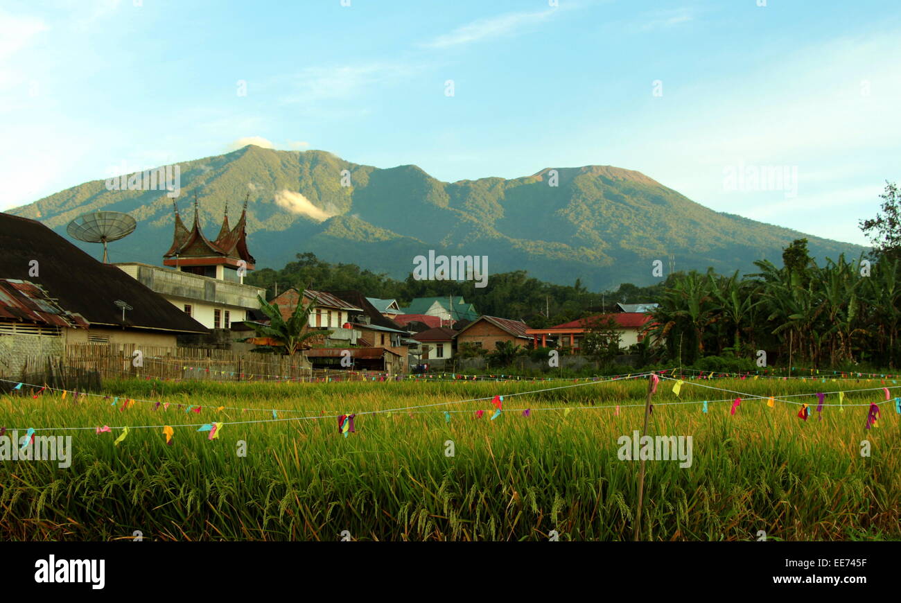 Sumatra landscape hi-res stock photography and images - Alamy