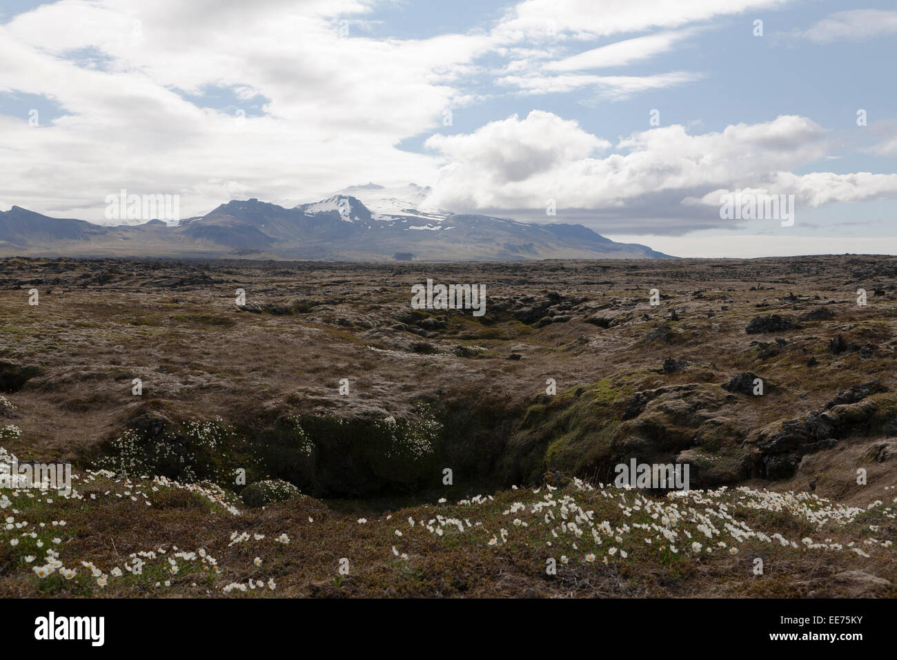 Volcanic landscape, glacier in background, Iceland Stock Photo - Alamy