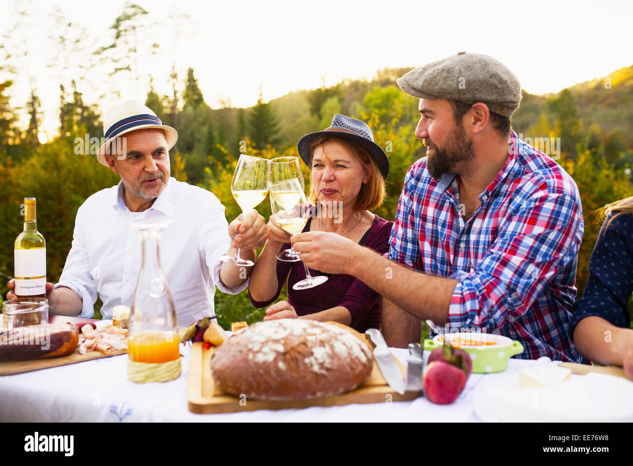 Family having picnic in the garden, Munich, Bavaria, Germany Stock ...