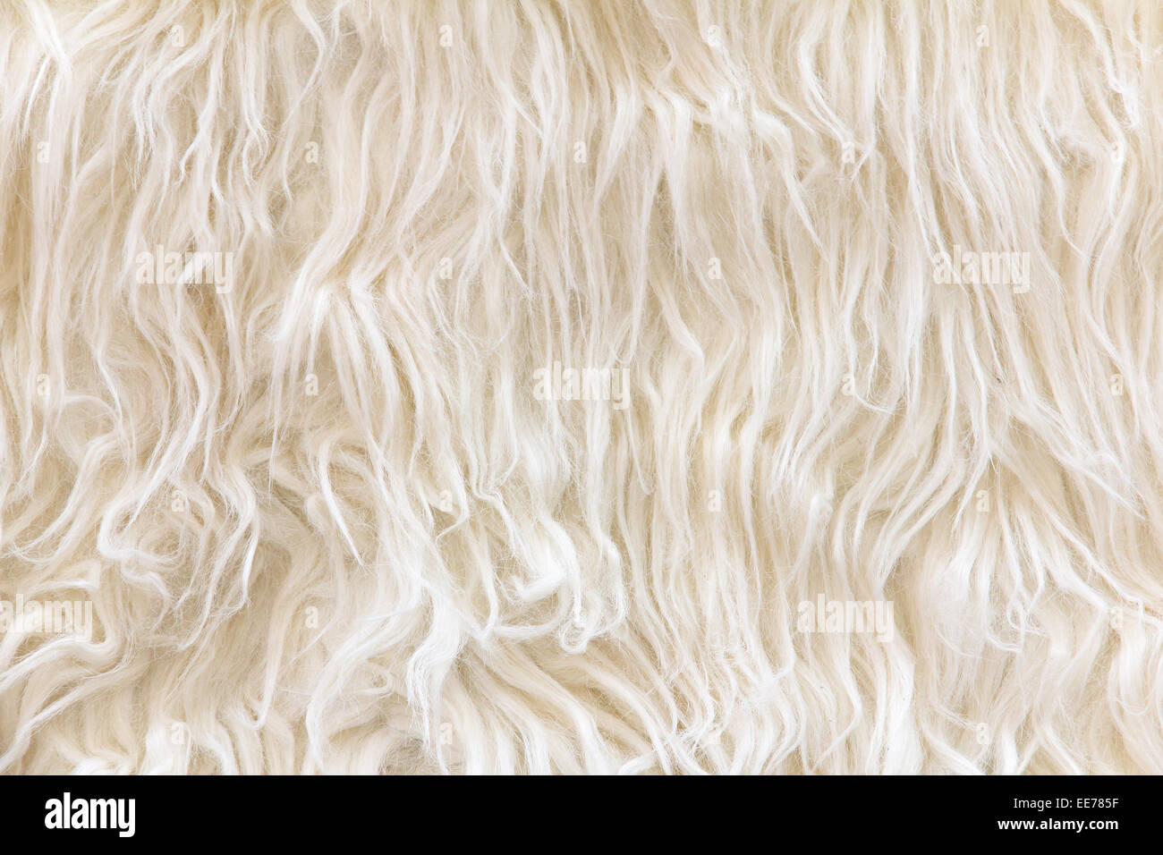 sheepskin texture background Stock Photo - Alamy