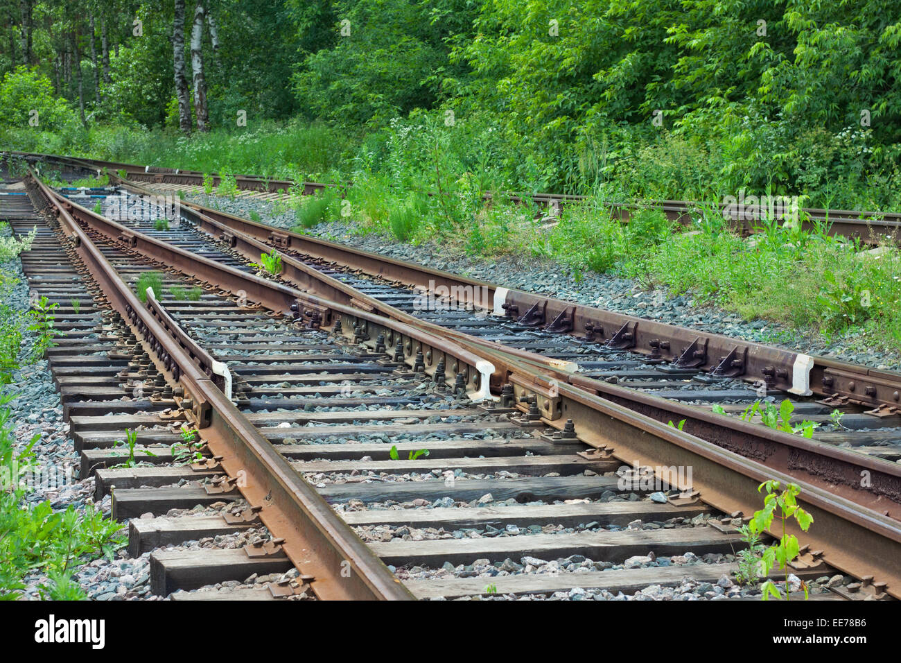 railway in a forest Stock Photo - Alamy
