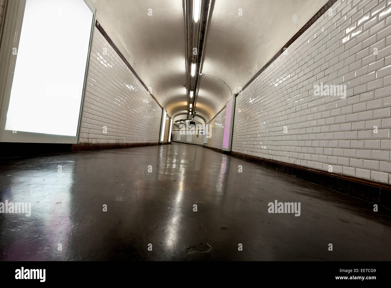 Old underground tunnel illuminated with neon Stock Photo - Alamy