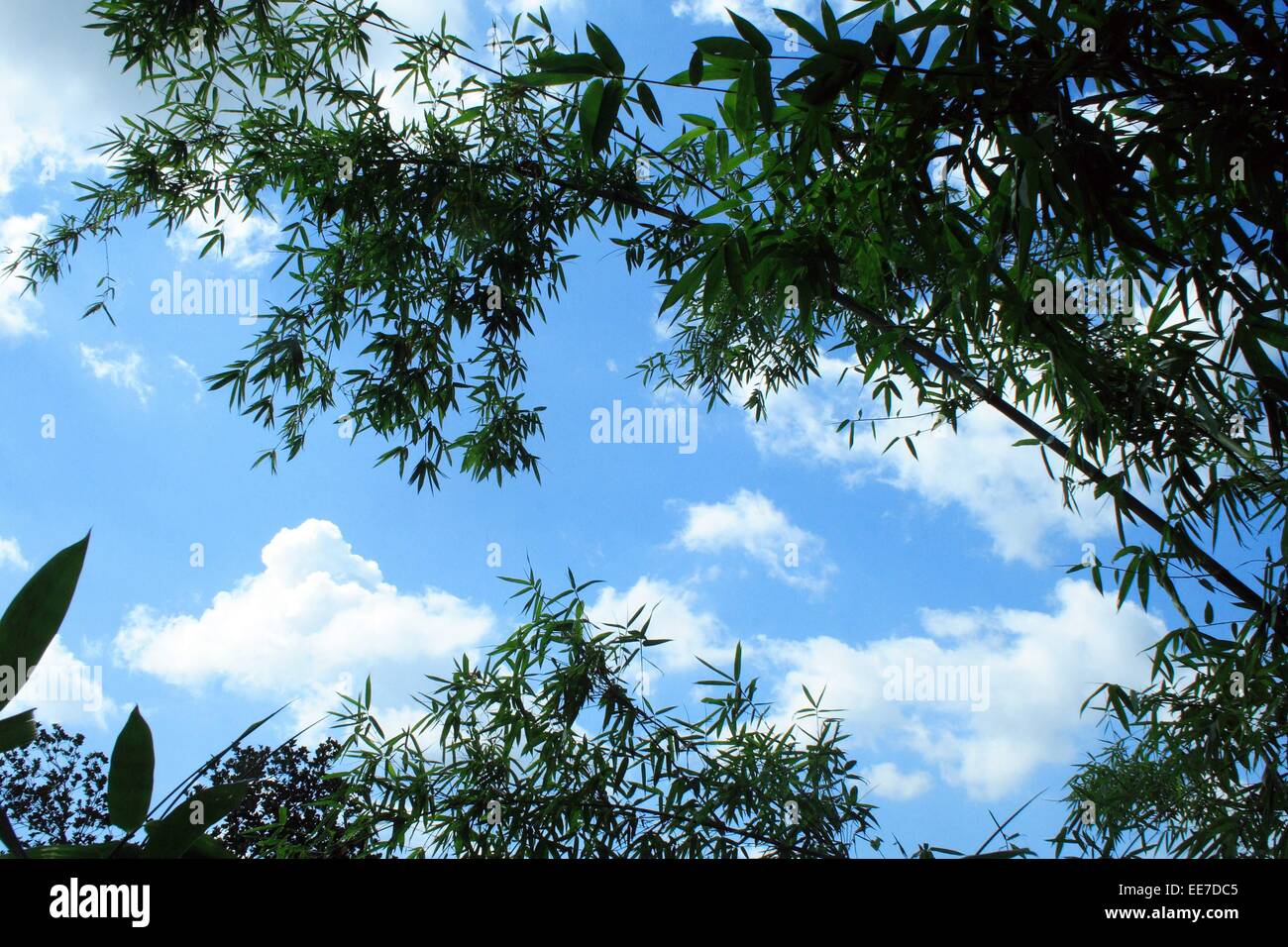 Bangladesh 2015. Blue sky in Dhaka Stock Photo - Alamy