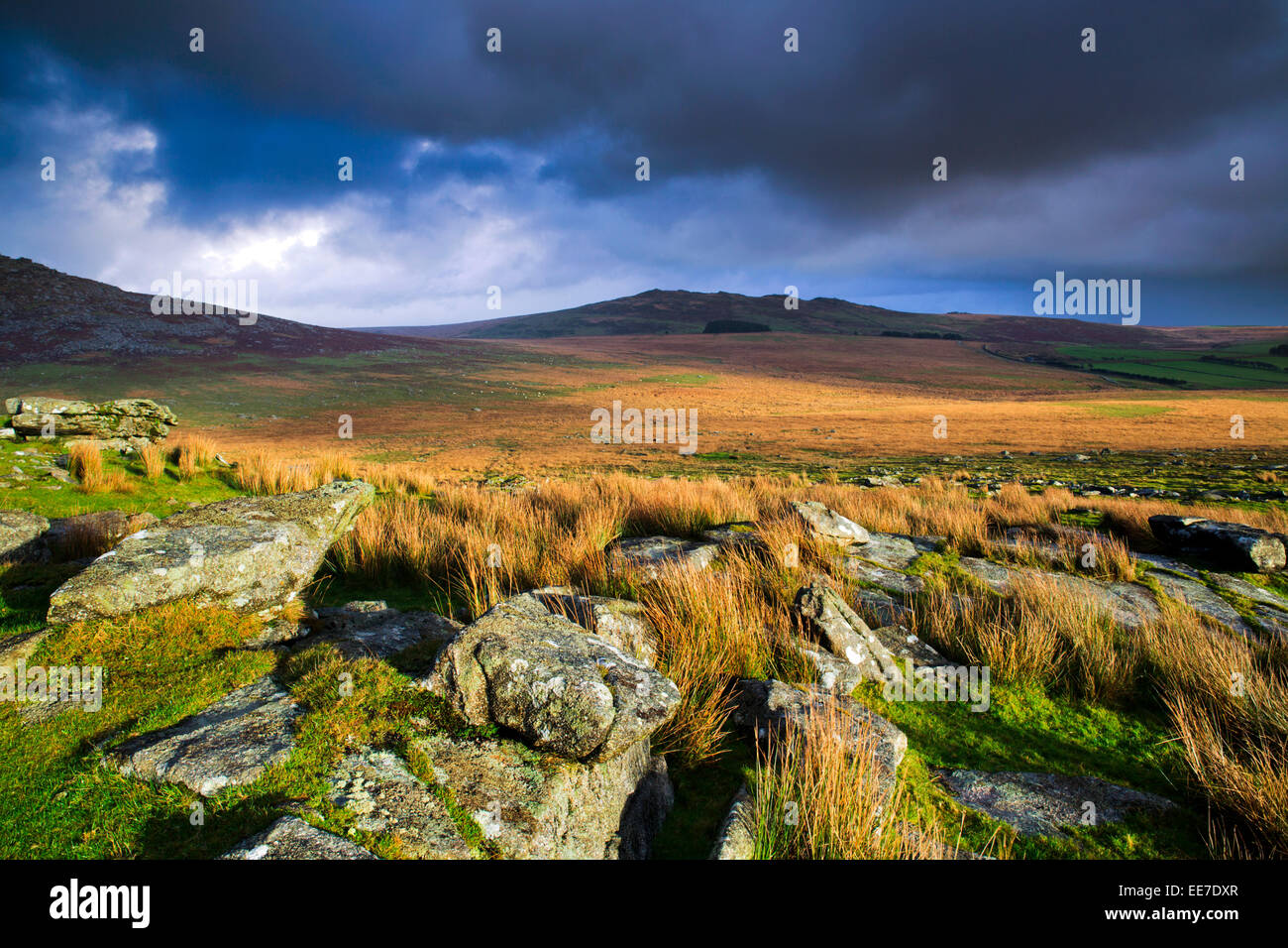 Brown Willy; Bodmin Moor; Cornwall; UK Stock Photo - Alamy