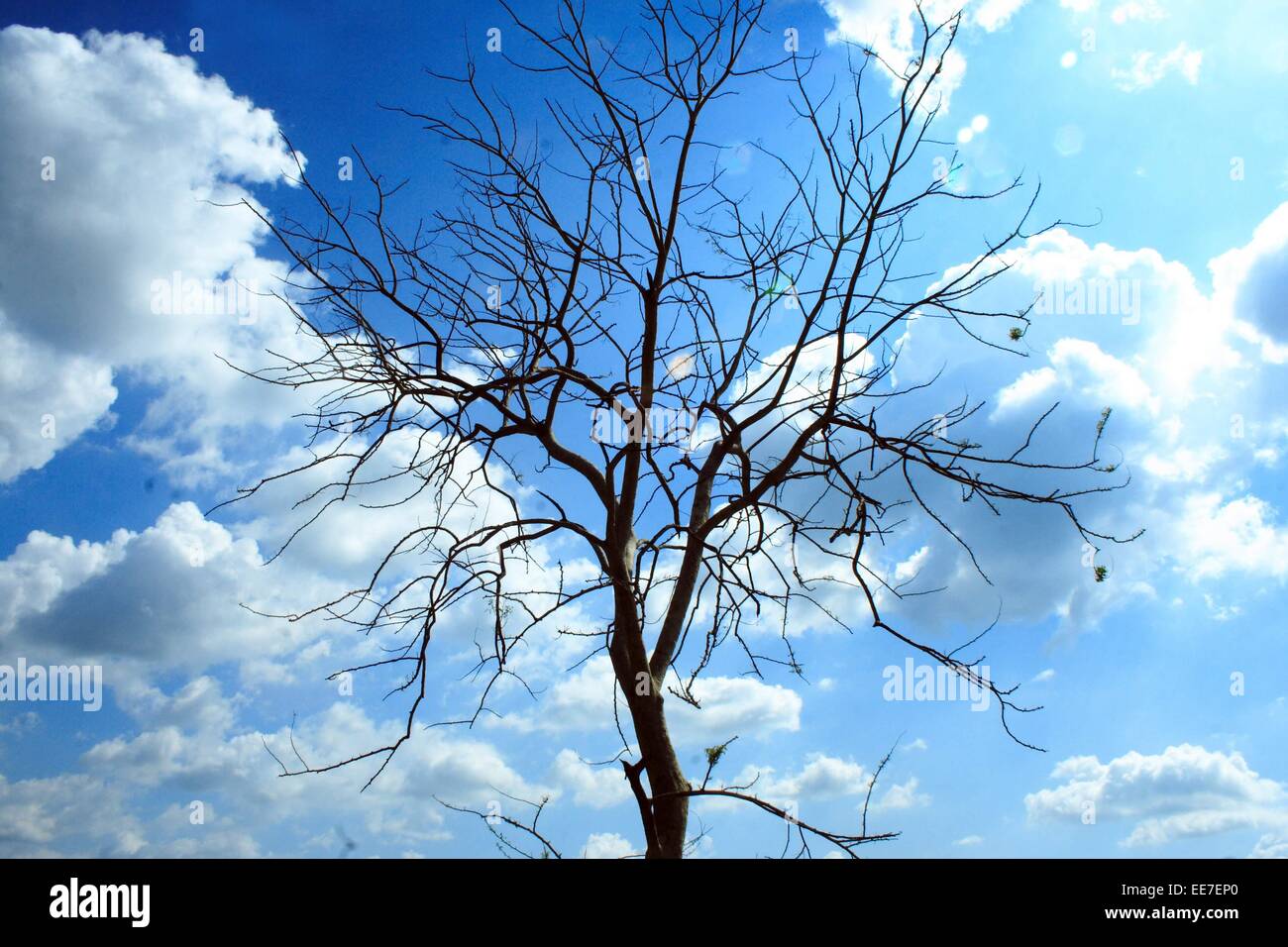 Bangladesh 2015. Blue sky in Dhaka Stock Photo - Alamy