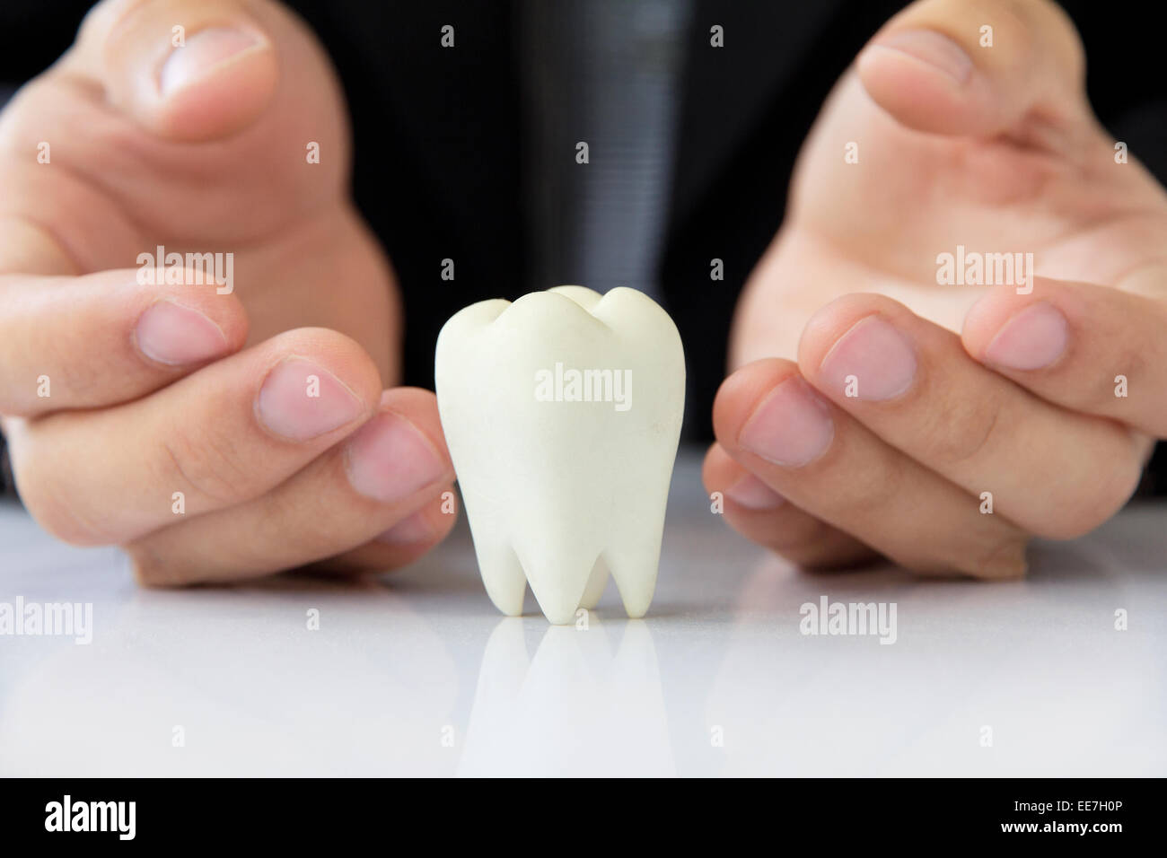 Dental model showing teeth hi-res stock photography and images - Alamy
