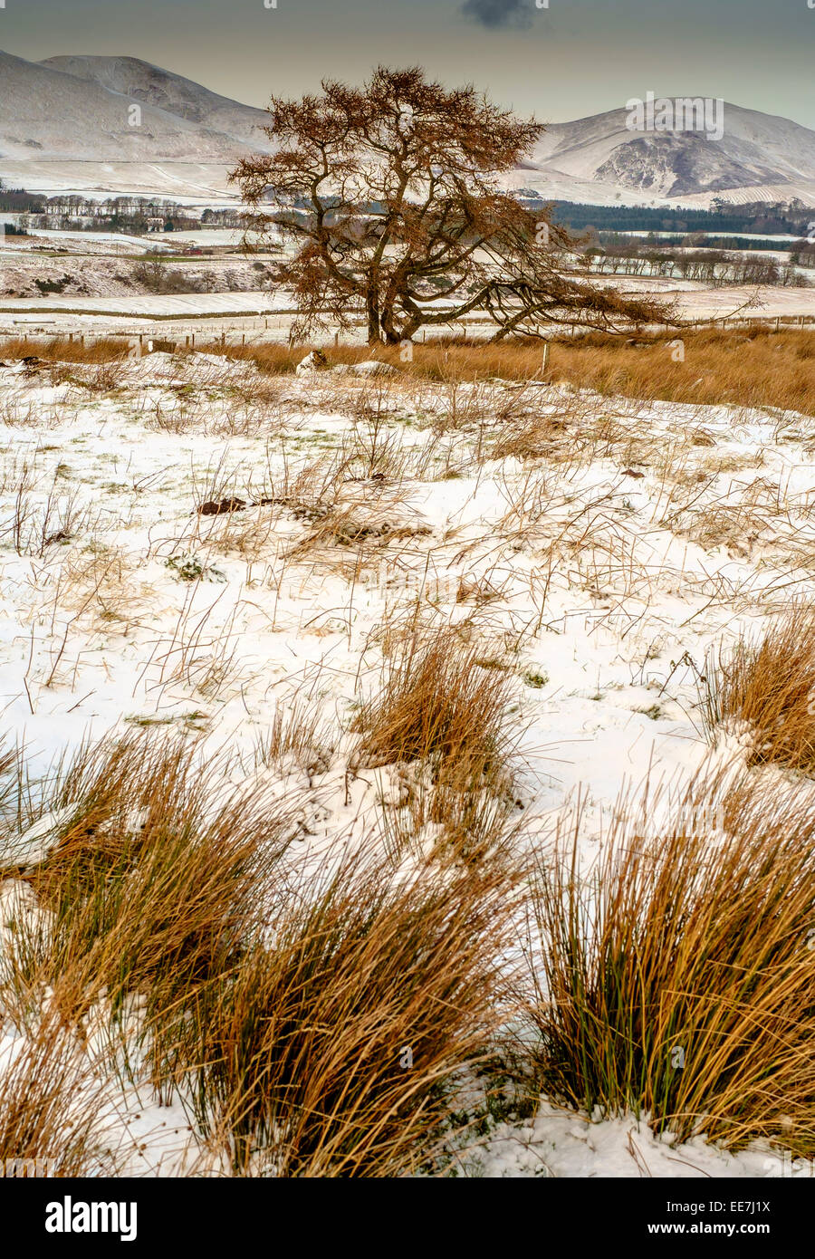 Cold barren landscape hi-res stock photography and images - Alamy