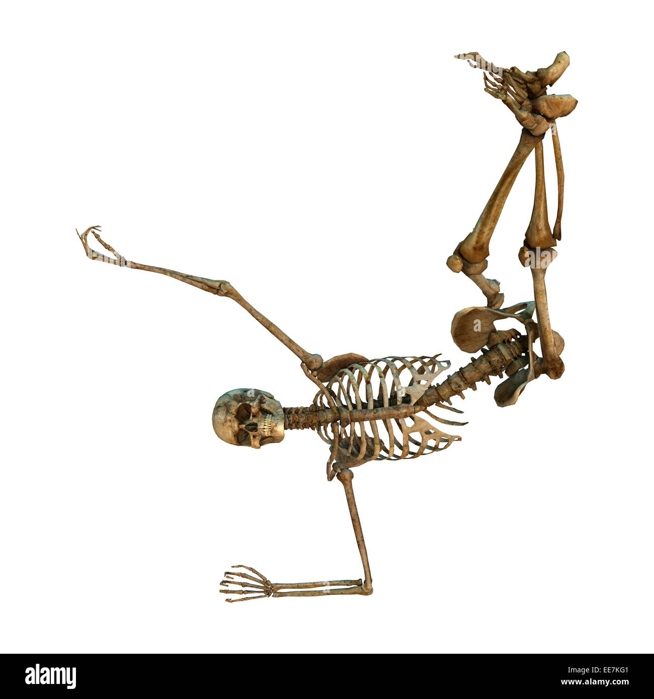 3D digital render of a human dancing skeleton isolated on white ...