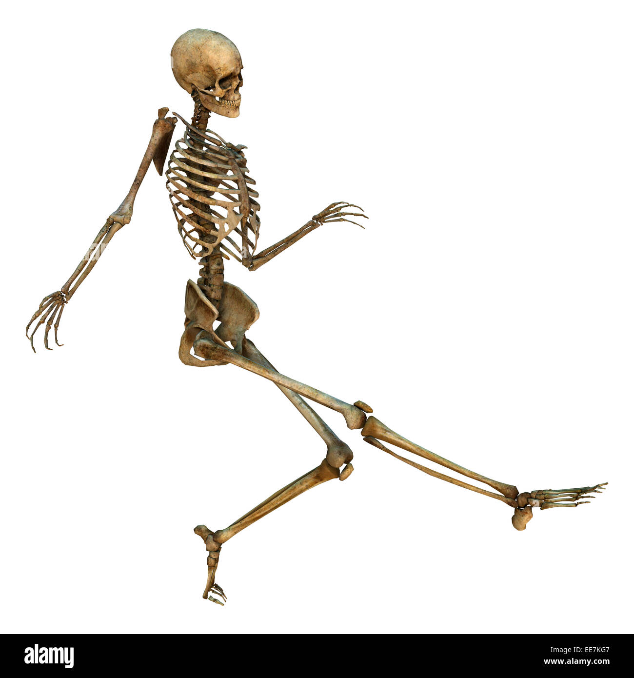 3D digital render of a human dancing skeleton isolated on white ...