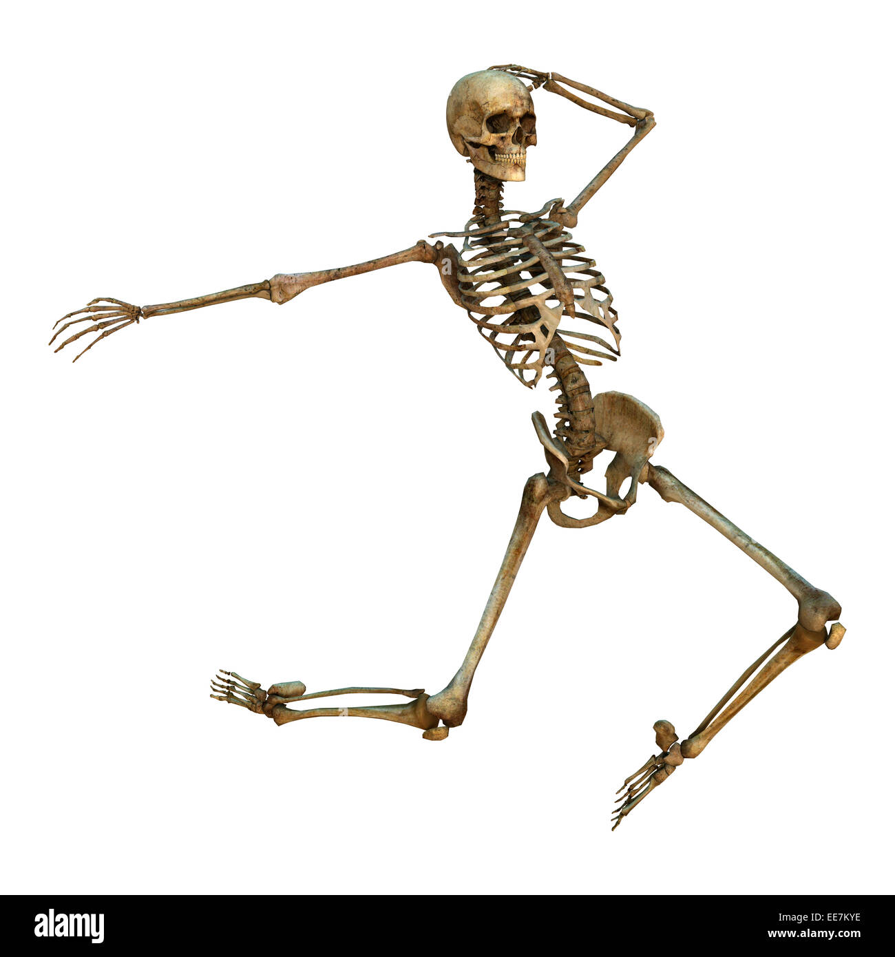 3D digital render of a human dancing skeleton isolated on white ...
