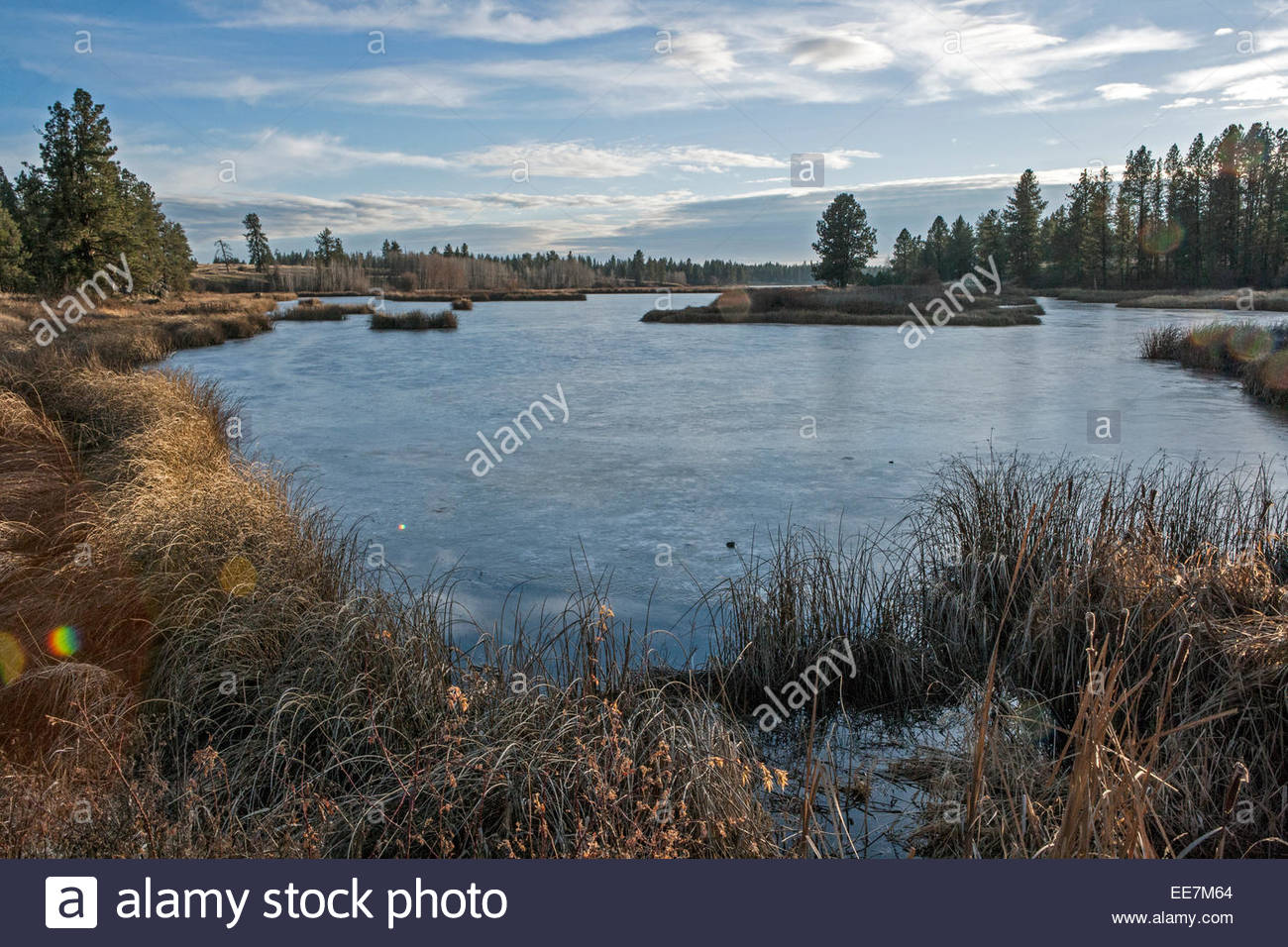 Turnbull National Wildlife Refuge Stock Photos & Turnbull National ...
