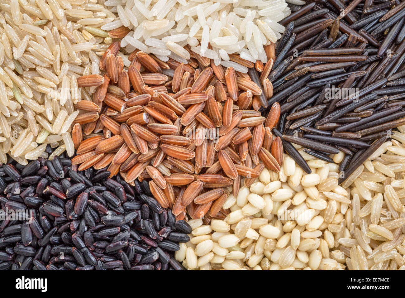 background of six rice grains including different brown rice grains ...