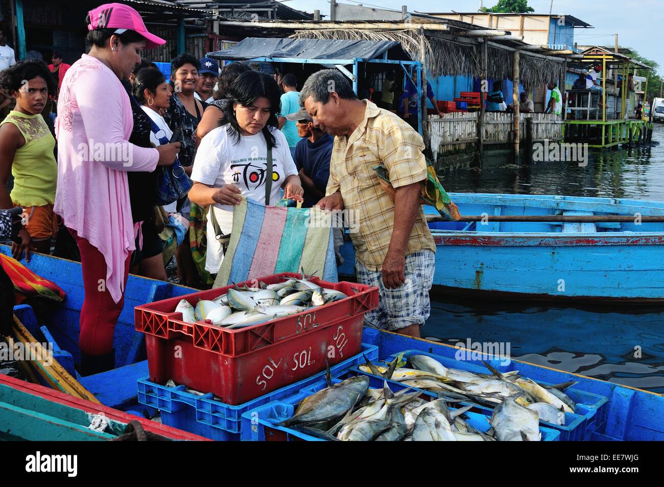 Machete ,pampano fino , fish - Port in PUERTO PIZARRO. Department of ...