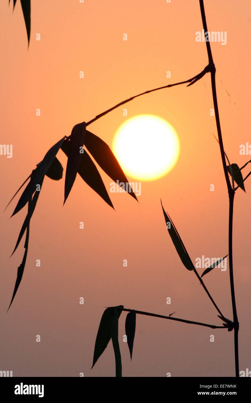 Fantastic ligh hi-res stock photography and images - Alamy