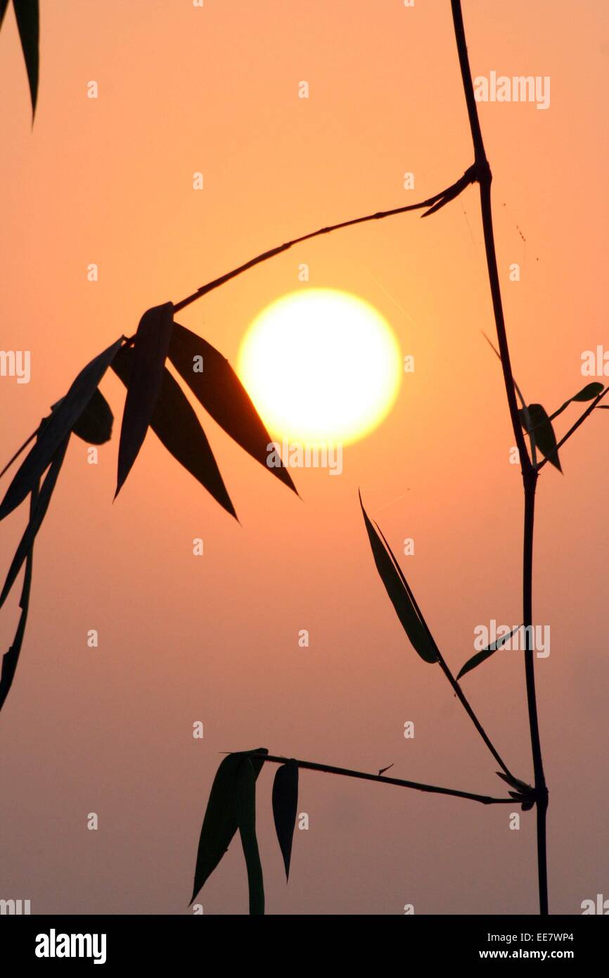 Fantastic ligh hi-res stock photography and images - Alamy