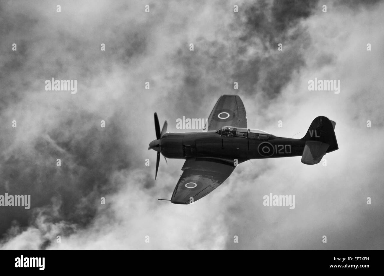 British hawker sea fury plane Black and White Stock Photos & Images - Alamy