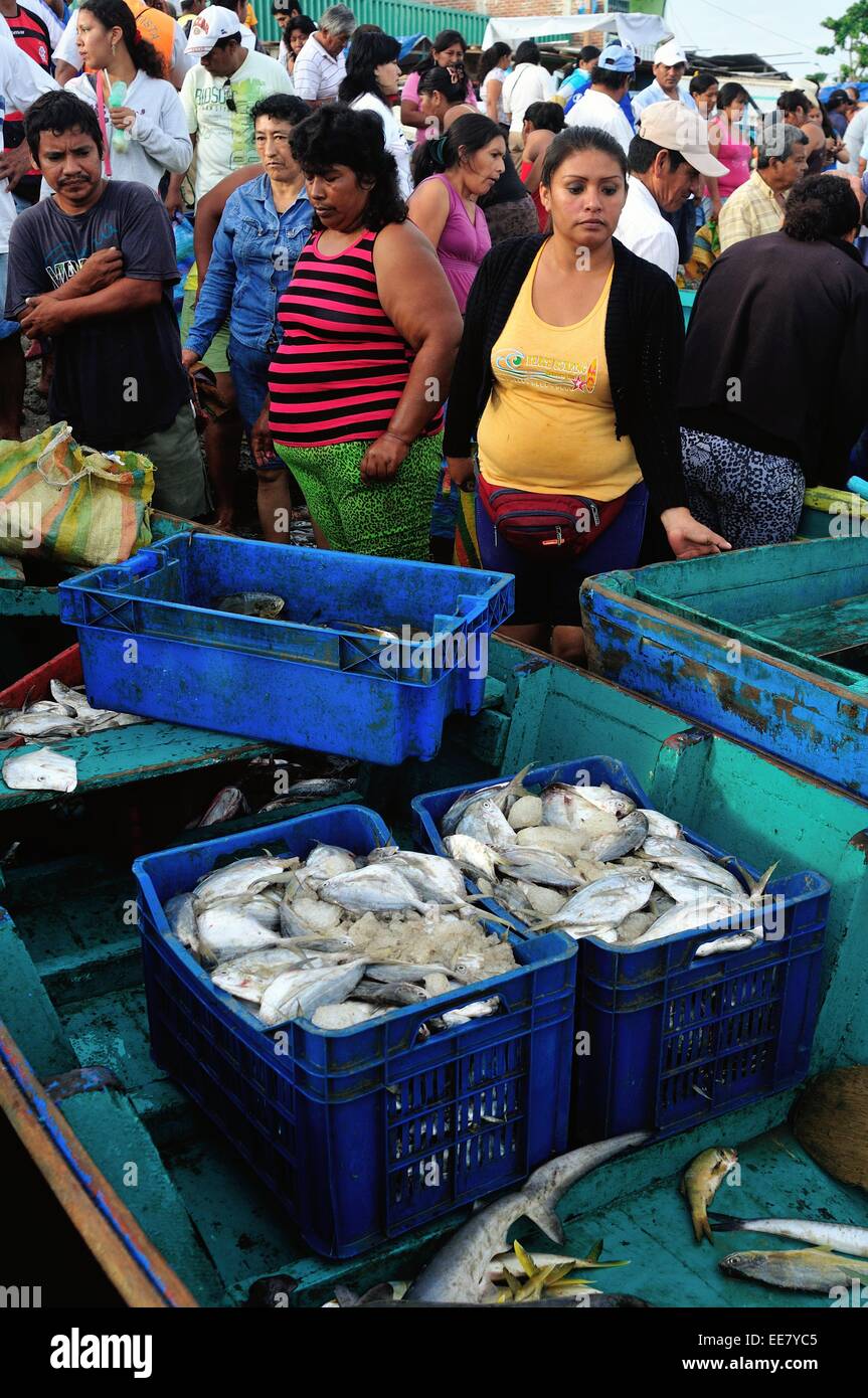 Pampano hi-res stock photography and images - Alamy