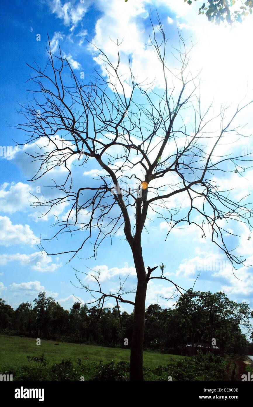 Bangladesh 2015. Blue sky in Dhaka Stock Photo - Alamy