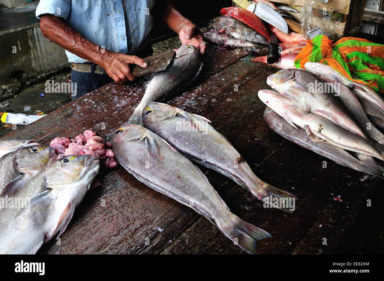 Cleaning Peje Blanco Fish - Port in PUERTO PIZARRO. Department of ...