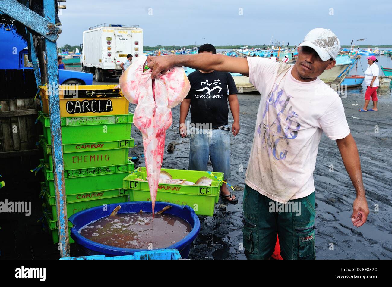 Manta ray peru hi-res stock photography and images - Alamy