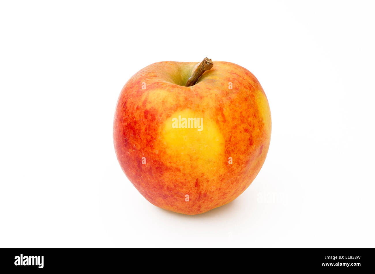 Rubens home Cut Out Stock Images & Pictures - Alamy