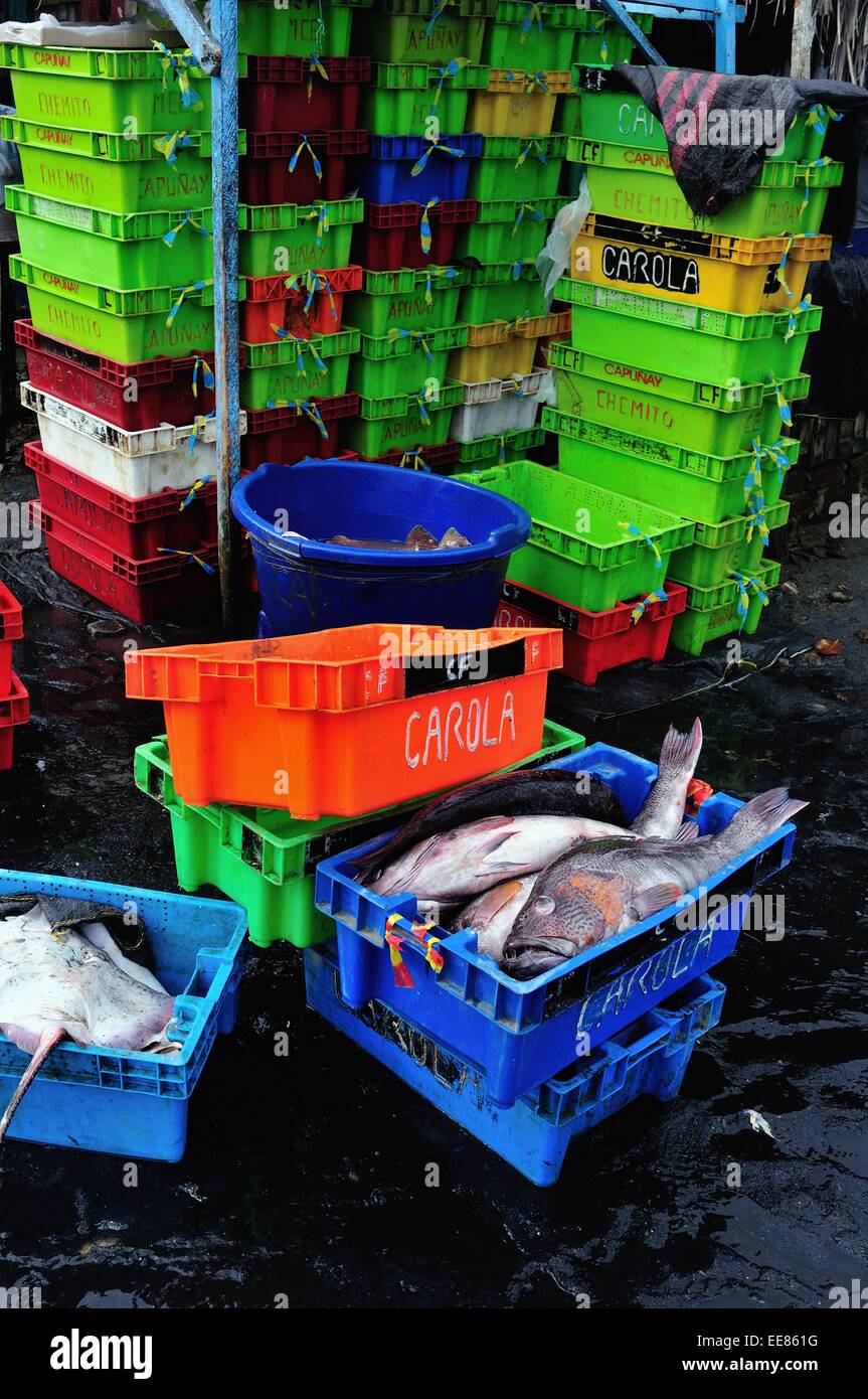 Perela fish - Port in PUERTO PIZARRO. Department of Tumbes .PERU Stock ...