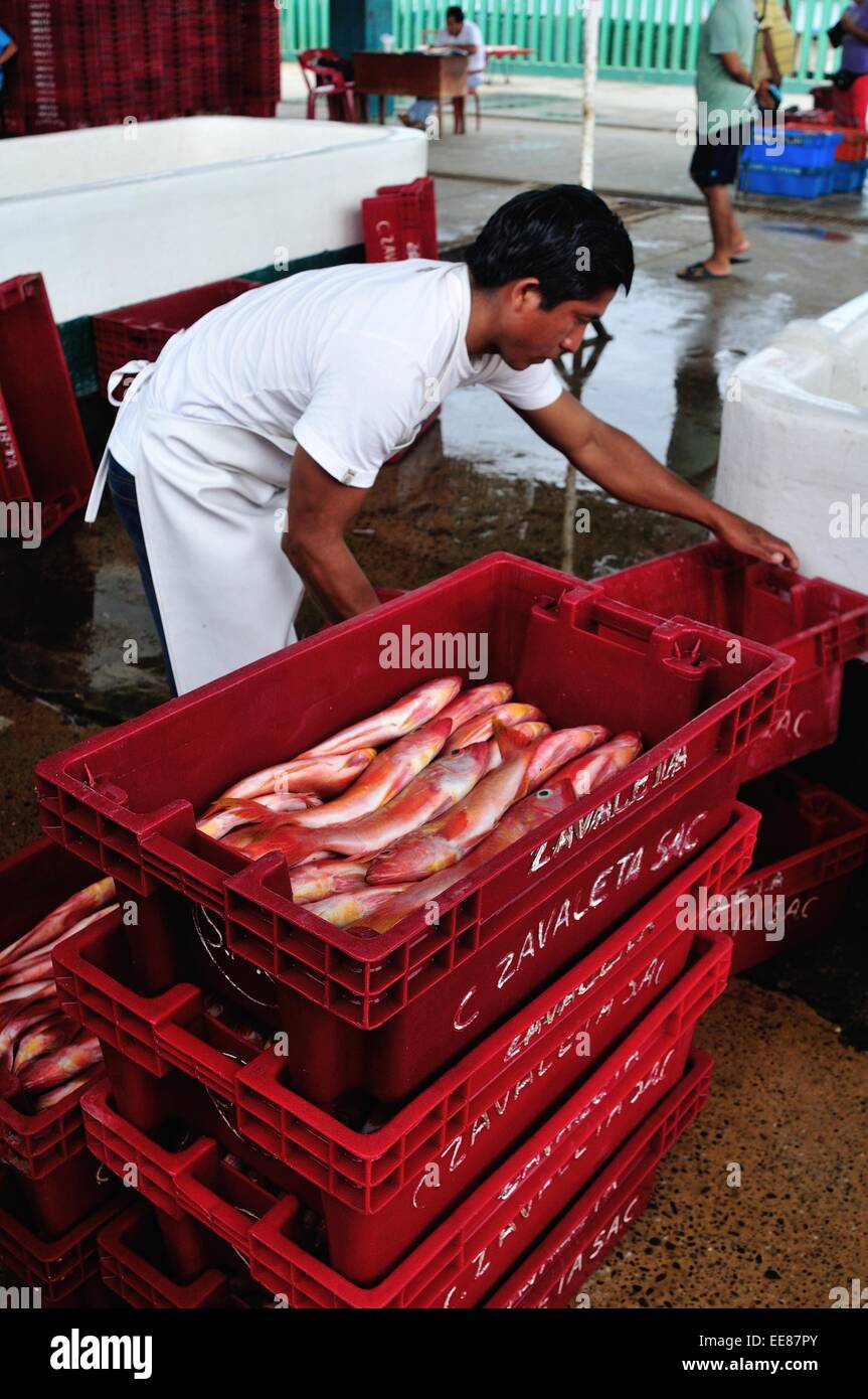 Gallo gallos hi-res stock photography and images - Alamy