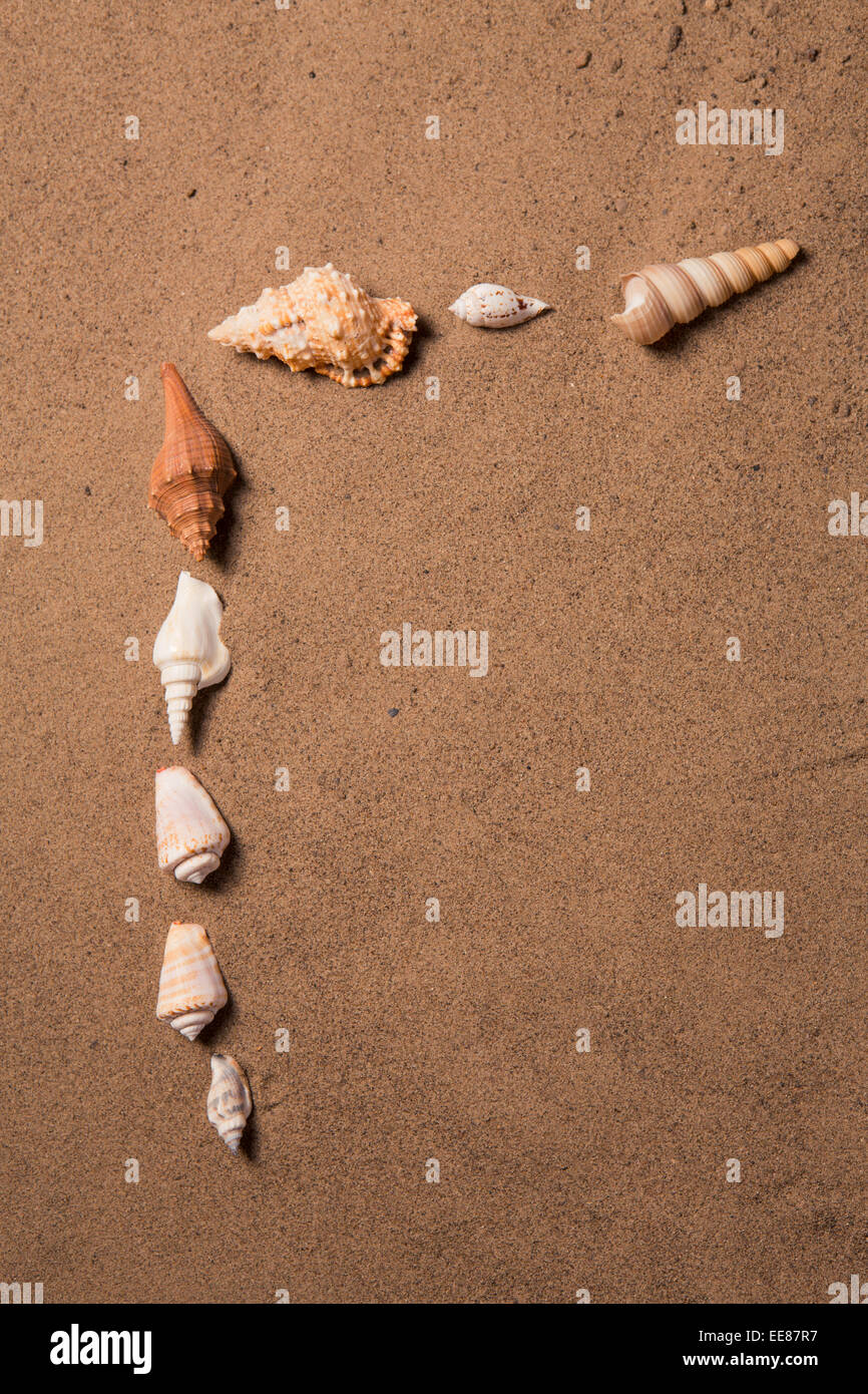sea shells with beach sand as background Stock Photo - Alamy