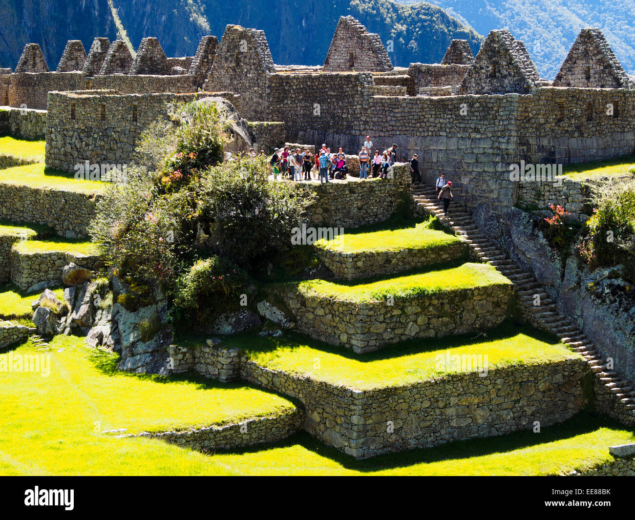 Inca ruins of the lost city of Macchu Picchu - Peru Stock Photo - Alamy