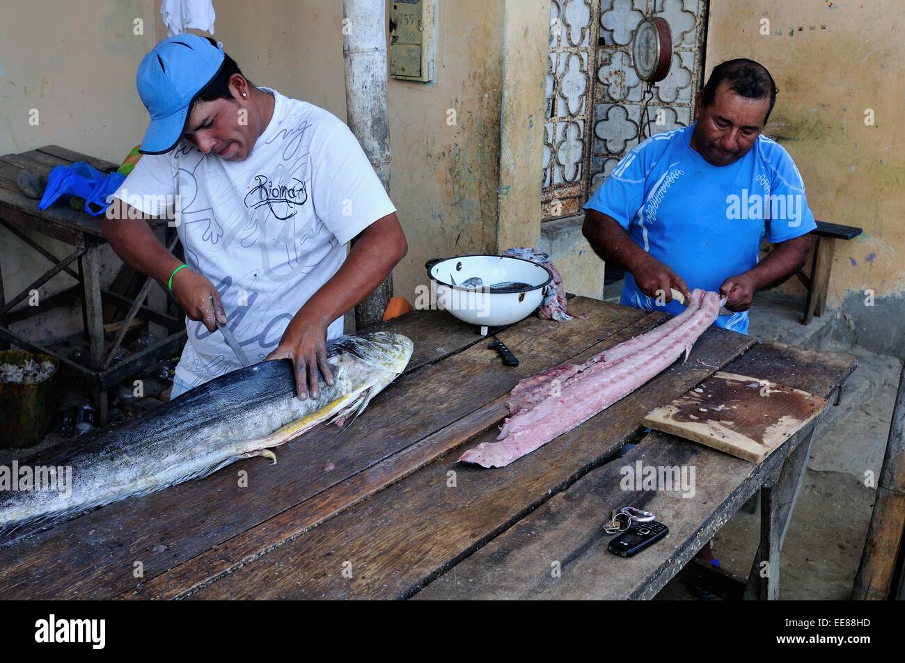 Perico fish cutting - Port in PUERTO PIZARRO. Department of Tumbes ...