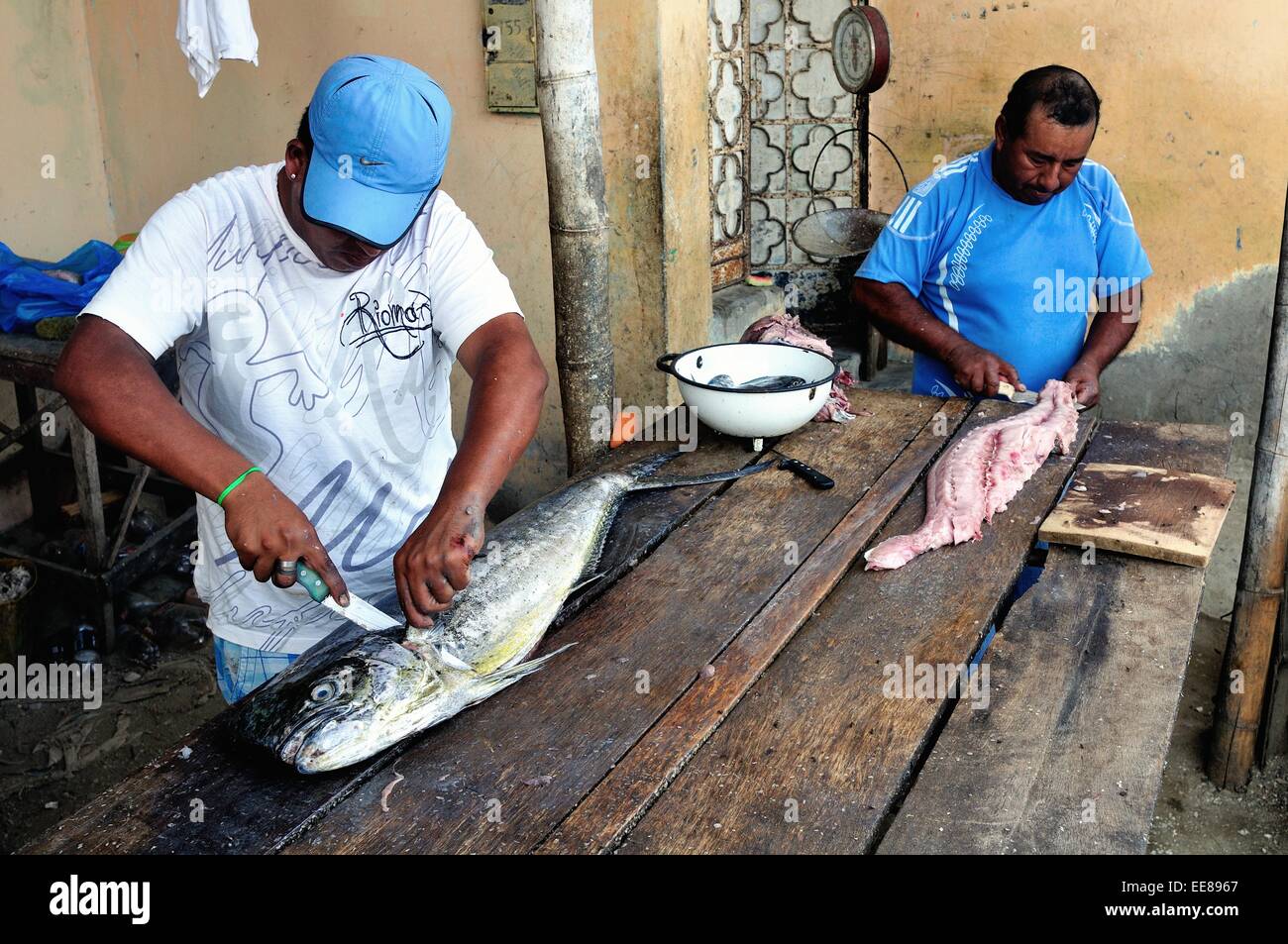 Perico fish cutting - Port in PUERTO PIZARRO. Department of Tumbes ...