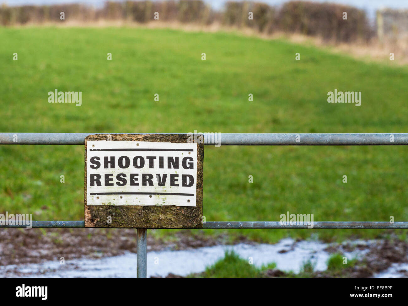 Sports gun hi-res stock photography and images - Alamy
