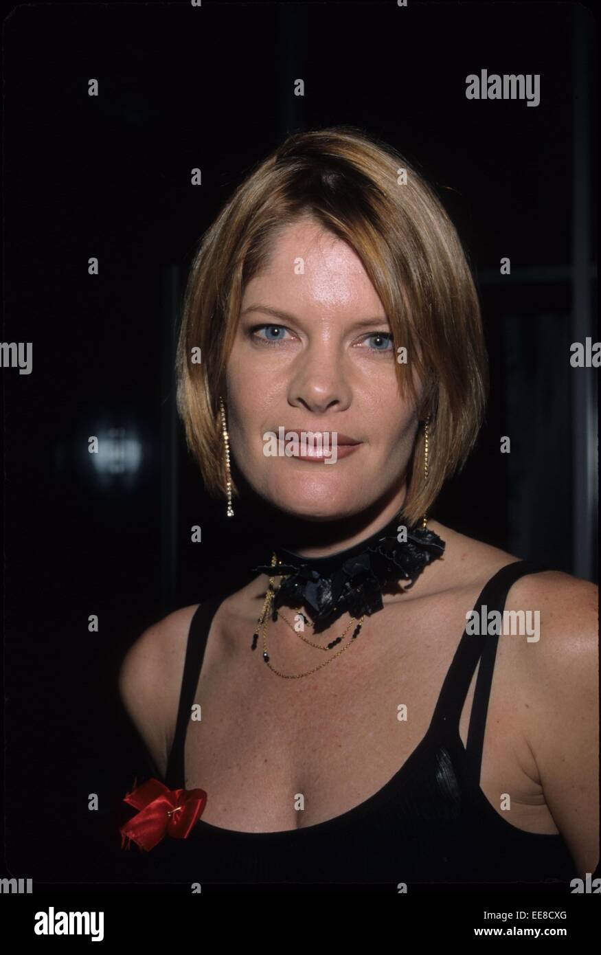 MICHELLE STAFFORD at APLA Holiday Cards launch at Deep 2001.k23263ag ...