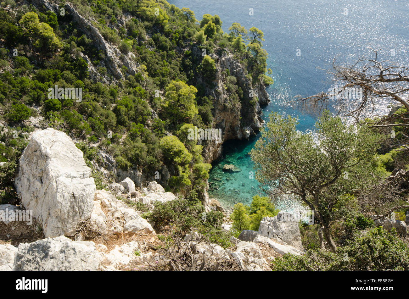South coast cliffs and pine trees, at the viewpoint near ...