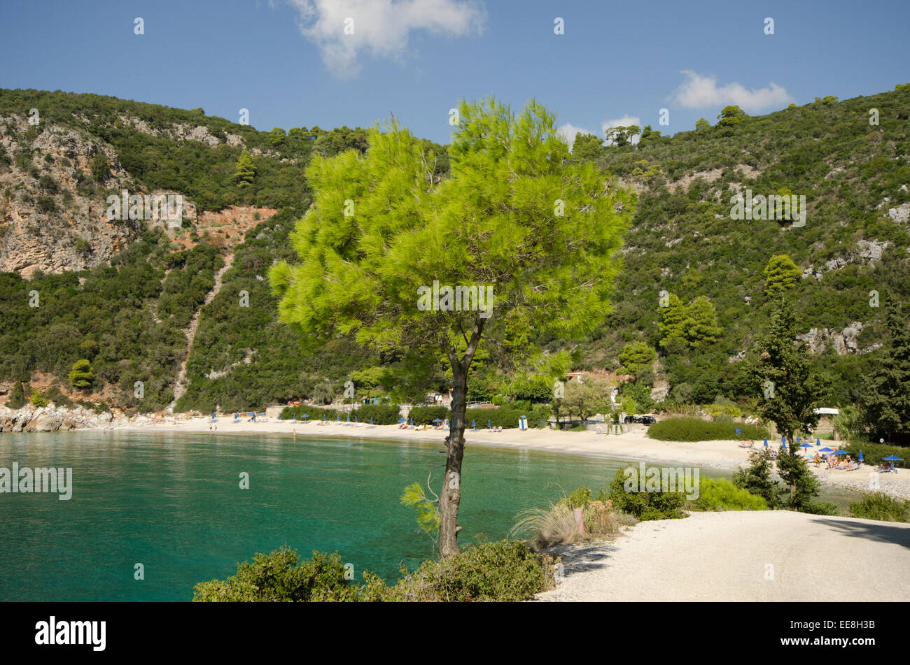 Track leading to Limnonari beach, Skopelos, Greek island. October Stock ...